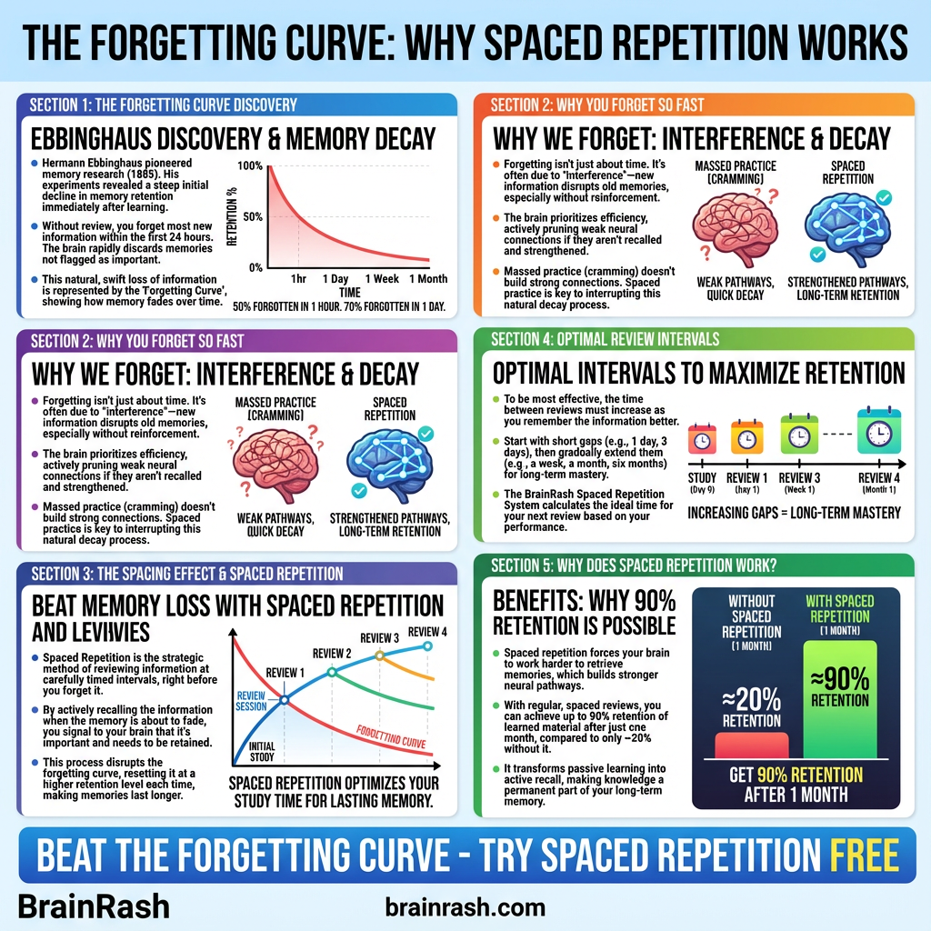 The Forgetting Curve: Why Spaced Repetition Works | Blog | BrainRash